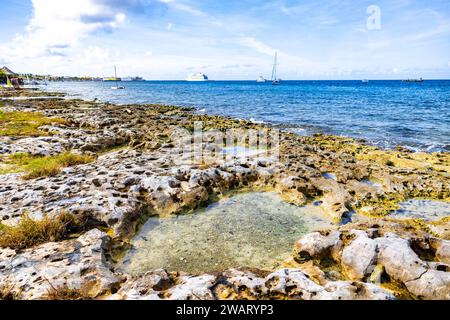 A picturesque beach scene showcasing a tranquil shoreline in Cozumel ...