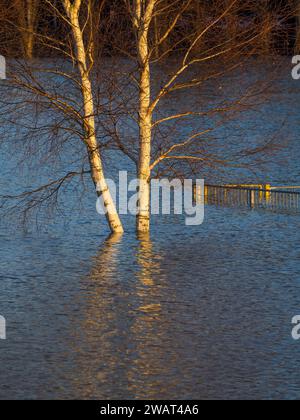 Underwater Playground, Flooding, River Thames, Caversham, Reading ...