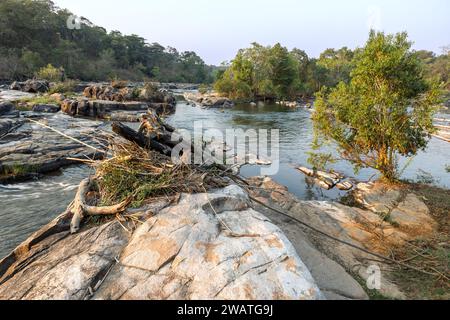 Debris from flooded river, Bua river, Dusk, Nkhotakota Wildlife Reserve ...