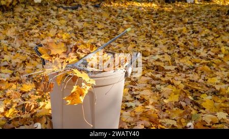 plastic garbage bin filled with golden maple leaves in a backyard, fall ...