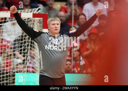 Denmark's Emil Nielsen in goal during the men's handball match in the ...