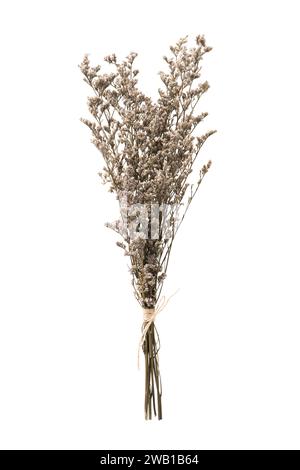 Dried Caspia flowers bunch isolated over white background Stock Photo ...