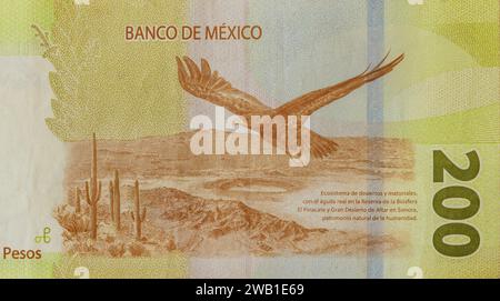 Mexico 200 pesos banknote close up Mexican money bills currency front ...