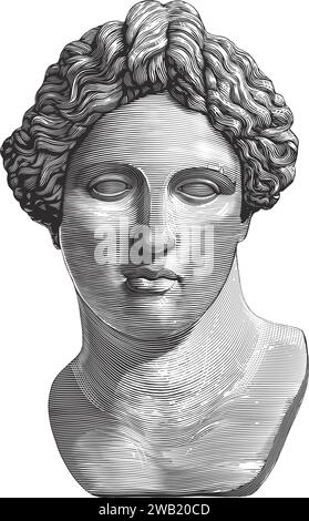 Portrait of Apollo in vintage engraving style.Isolated, grouped, vector ...