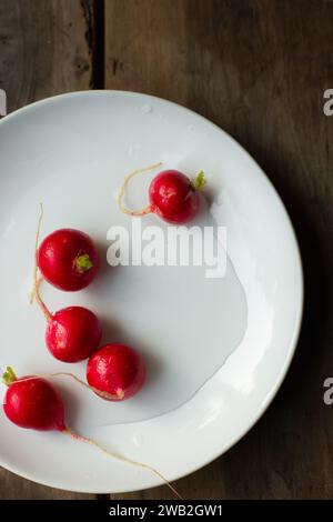 Fresh picked red and white radishes on display at the farmer's market ...