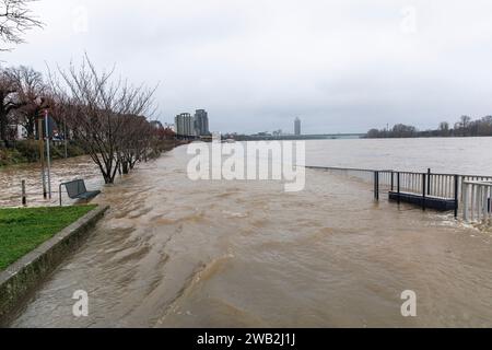 Hochwasser Rhein Koln