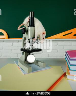 Funny rat sit on microscope, banner for university college or school ...