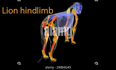 Lion skeleton vertebrae anatomy for medical concept 3D illustration ...
