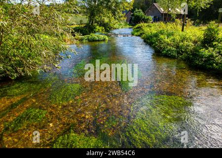 The River Chess near Rickmansowrth - a chalk stream in southern England ...