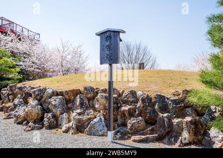 Shogunzuka Mound with Cherry blossoms Kyoto, Japan. Japanese translation : Shorenin Temple ...
