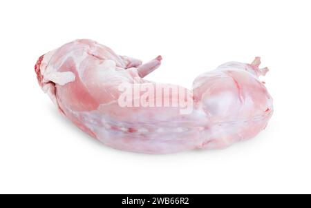 Whole fresh raw rabbit isolated on white Stock Photo - Alamy