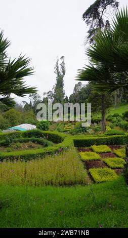 Beautiful scenic garden of Chettiar park,Kodaikanal. Fully covered with ...