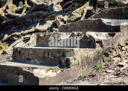 Old concrete aged dirty staircase in a poor village house. Isolated ...