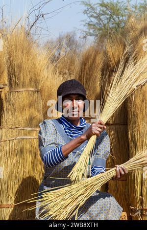 thatch work , portrait of a village african woman making bundles to ...