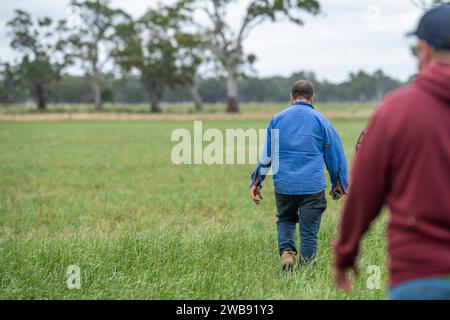 regenerative organic farmer, taking soil samples and looking at plant ...