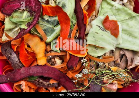 Domestic organic waste. Pieces and peels of vegetables and fruit for ...
