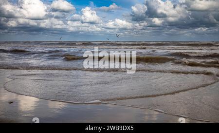 Seagulls sandy shore and rolling waves Stock Photo - Alamy
