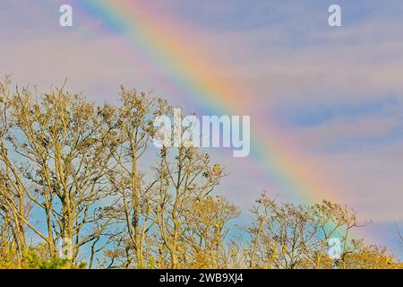 Rainbow cloud in contrast sky. Contrasting picture. Defocus Stock Photo ...