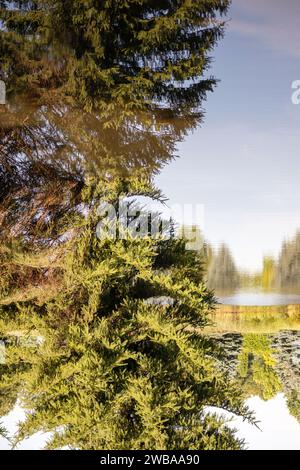 A view of a road, a field and Mount Rainier in Kent, Washington Stock ...