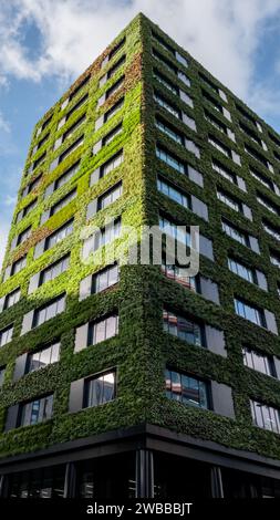 Eden green office building in Manchester / Salford is part of the New ...