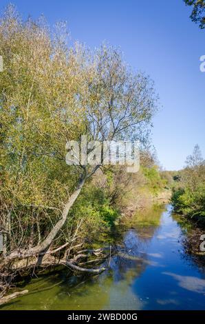 Conewango Creek in Sugar Grove, Pennsylvania, USA Stock Photo - Alamy