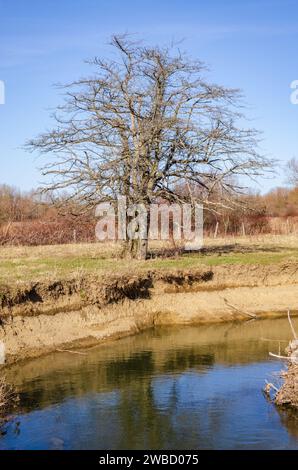 Conewango Creek in Sugar Grove, Pennsylvania, USA Stock Photo - Alamy