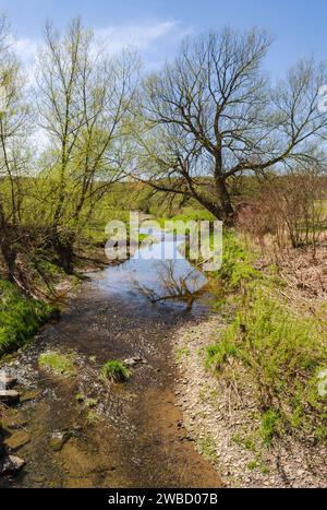 Conewango Creek in Sugar Grove, Pennsylvania, USA Stock Photo - Alamy
