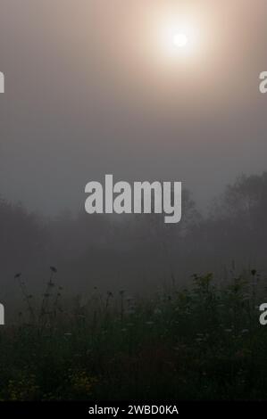 Morning Haze and Fog in Sugar Grove, Pennsylvania, USA Stock Photo - Alamy