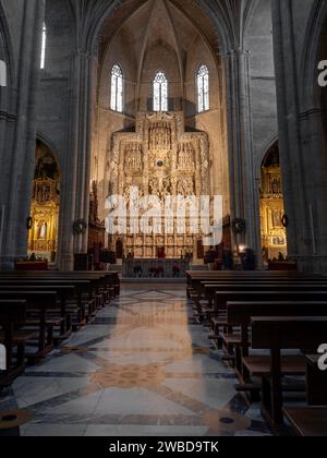 Gothic cathedral interior, sunlight illuminating the altar. Majestic ...