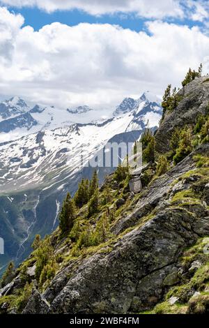 Mountain panorama with glaciated summit Grosser Moeseler and Turnerkamp, Berliner Hoehenweg ...