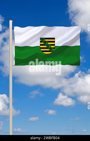 The flag of Saxony, official flag, state official flag, studio Stock ...