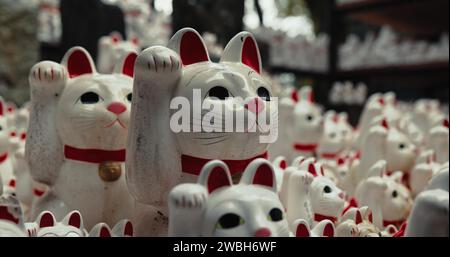 Lucky cat, statue and Shinto temple by shrine, trees and forest with ...