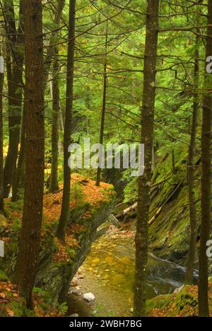 Texas Brook, Texas Falls Recreation Area, Green Mountain National ...