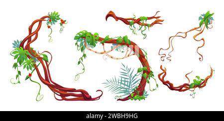 Twisted liana branch with green leaves and flowers. Cartoon vector ...