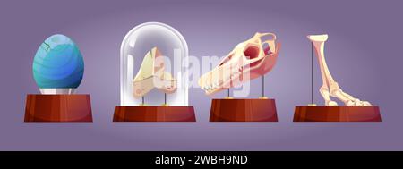 Paleontology museum exhibits set isolated on background. Vector cartoon ...