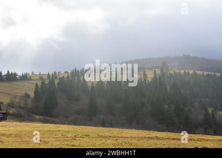 Snowless winter in Carpathian mountain. In nature Stock Photo - Alamy