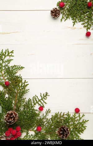 Clear white background with thuja branches. Place for text. Flat lay ...