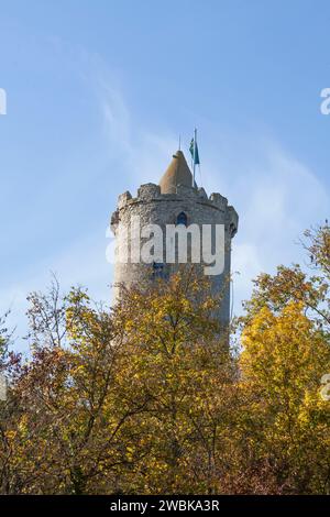 Saaleck castle ruins near Bad Kösen, Naumburg, Saxony-Anhalt, Germany ...