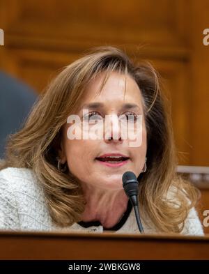 United States Representative Lisa C. McClain (Republican of Michigan ...