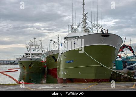 Deep-sea ships load provisions to go out to sea in the port of Vigo ...