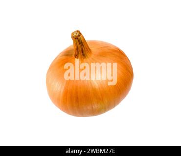 Raw Fresh Shallot onions Bulbs in a wooden market box. Dark Wooden ...