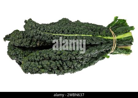 bunch of palm kale isolated on white background Stock Photo - Alamy