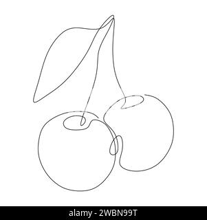 Cherry continuous one line drawing, fruit vector illustration Stock ...