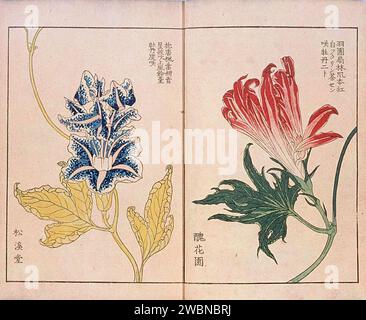 Archive image from page 7 of Description de l'Égypte, ou, Recueil Stock ...