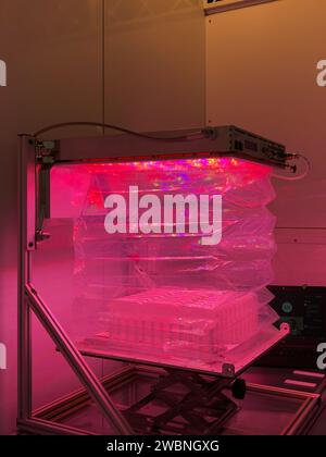 The Science Verification Test for NASA’s Advanced Plant Experiment-08 ...