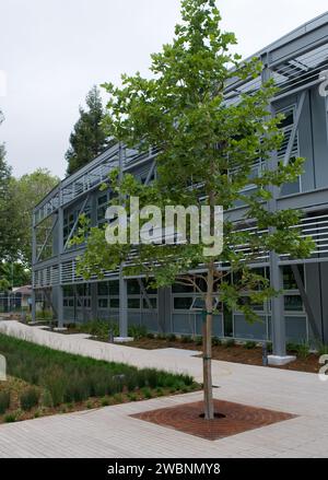 Construction of the new NASA Ames Green Building dubbed Sustainability ...