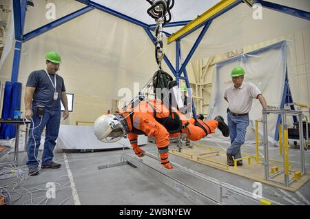 Astronaut Rex Walheim uses the Active Response Gravity Offload System ...