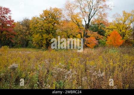 Photo in autumn on the prairie on the dam Stock Photo - Alamy