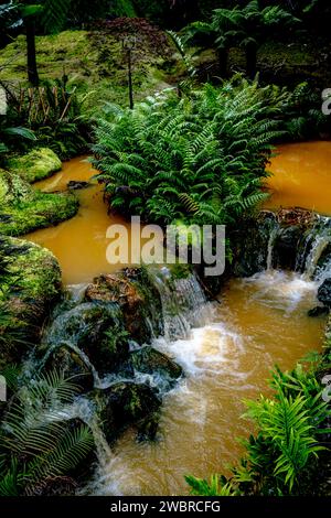 Botanical gardens of Ponta Delgada, Azores Stock Photo - Alamy