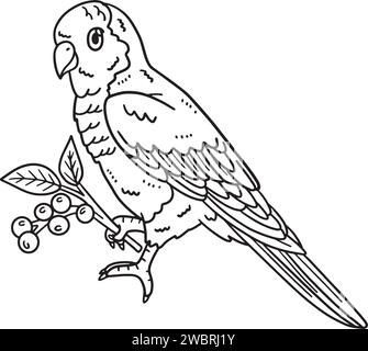 Bird Monk Parakeet Coloring Page for Kids Stock Vector Image & Art - Alamy